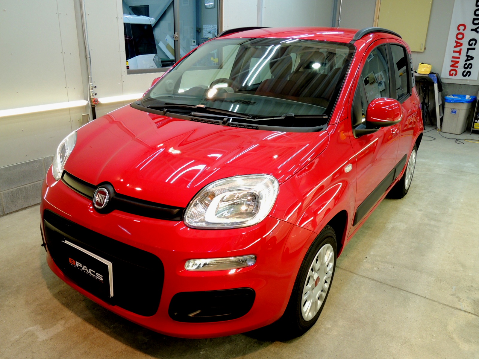 パンダ（Panda）』をD-PRO Premium Coat Type-BP EVOを施工 | B-PACS STAFF BLOG